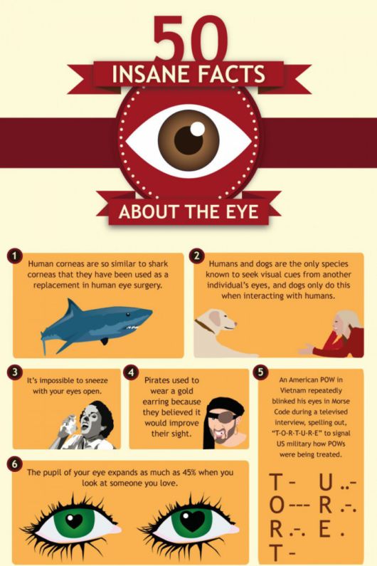 50 Incredible Facts About The Human Eye | Funzug.com