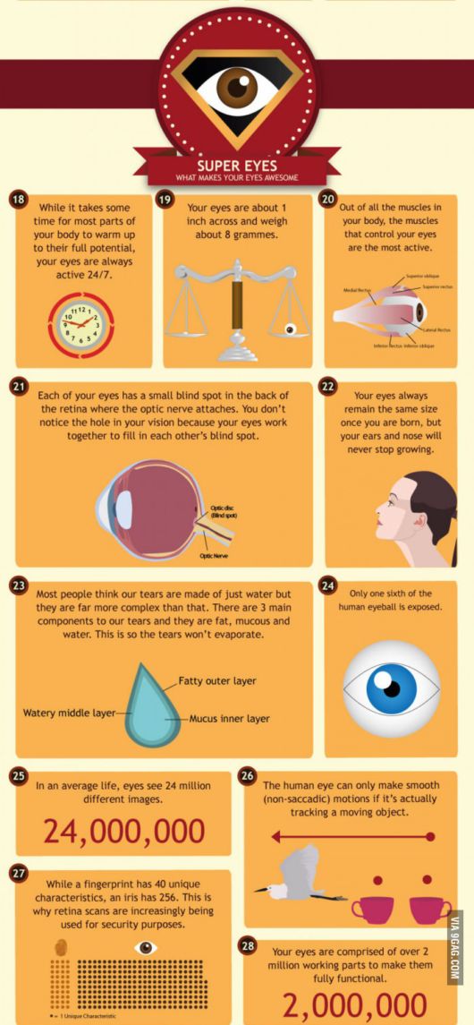 50 Incredible Facts About The Human Eye | Funzug.com